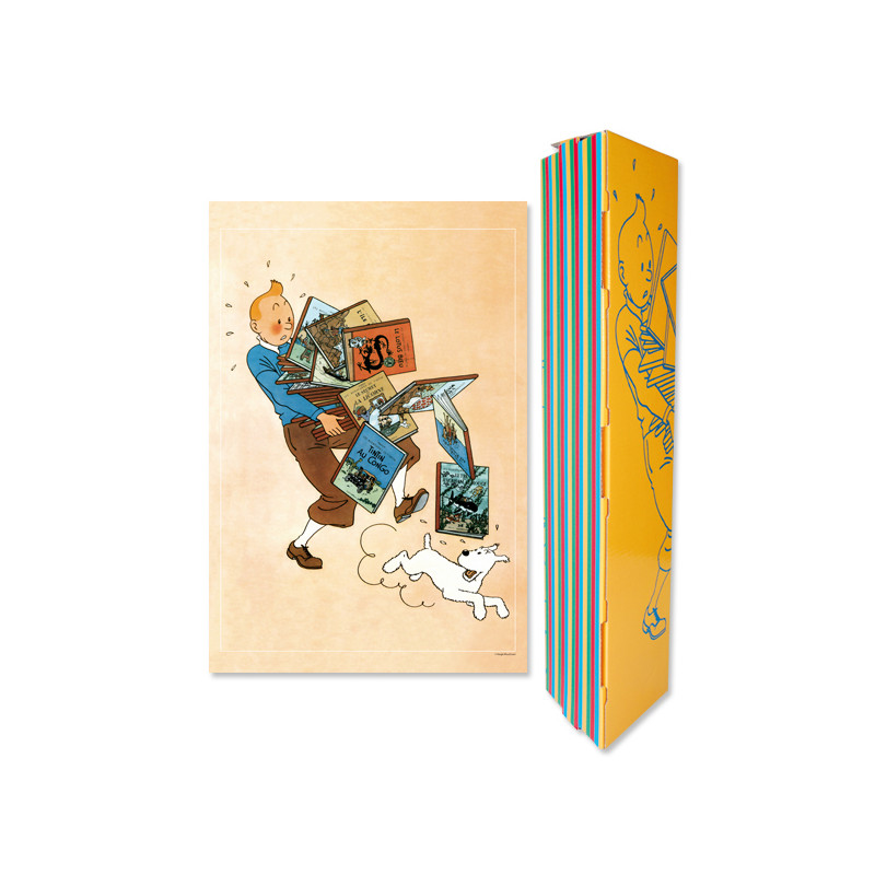 Poster-Tintin Albums - Accueil | BOUTIQUE.TINTIN.COM Tintin Boutique